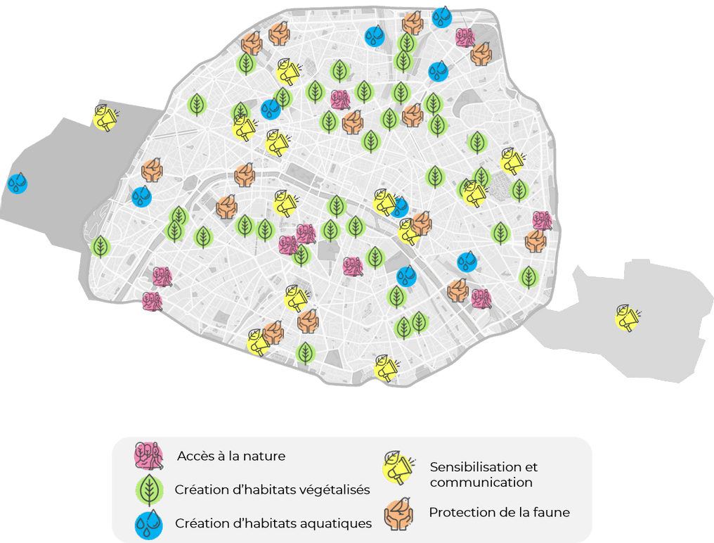 Décryptage du Plan Biodiversité 2025-2030 de la Ville de Paris - Agence ...